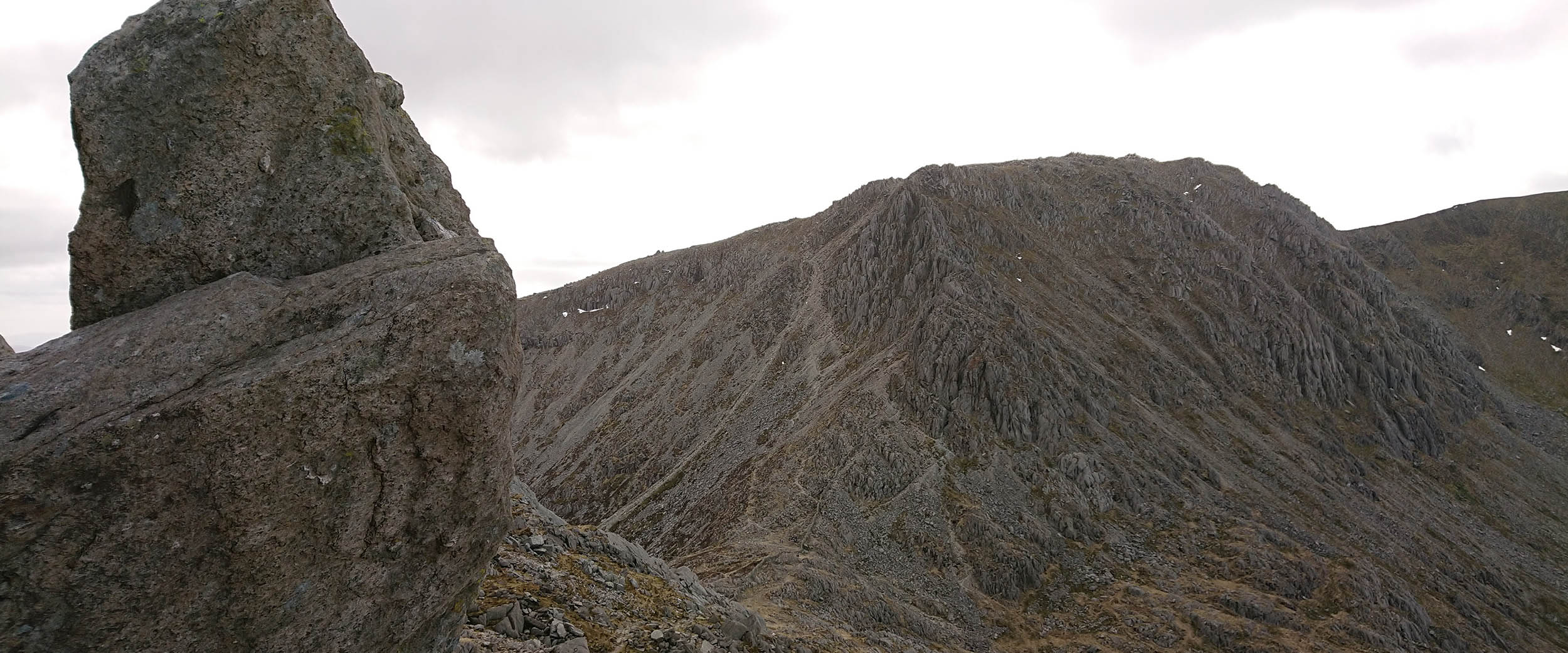 Bristly Ridge Guided Scramble